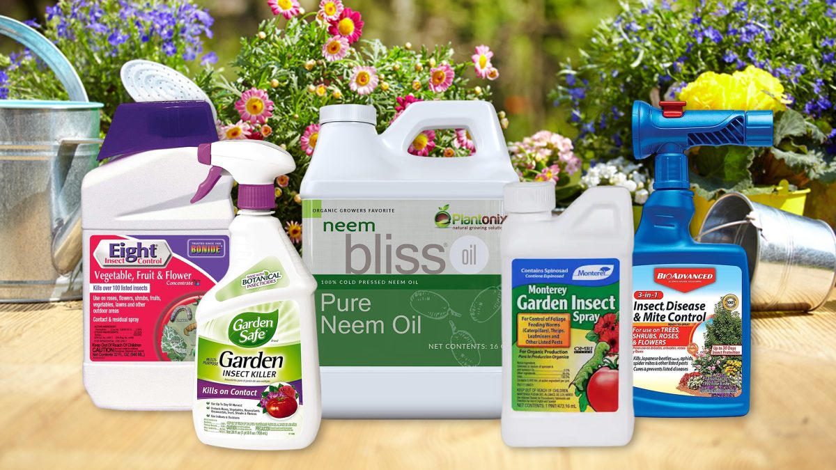 The Best Insecticides for Vegetable Gardens 2023