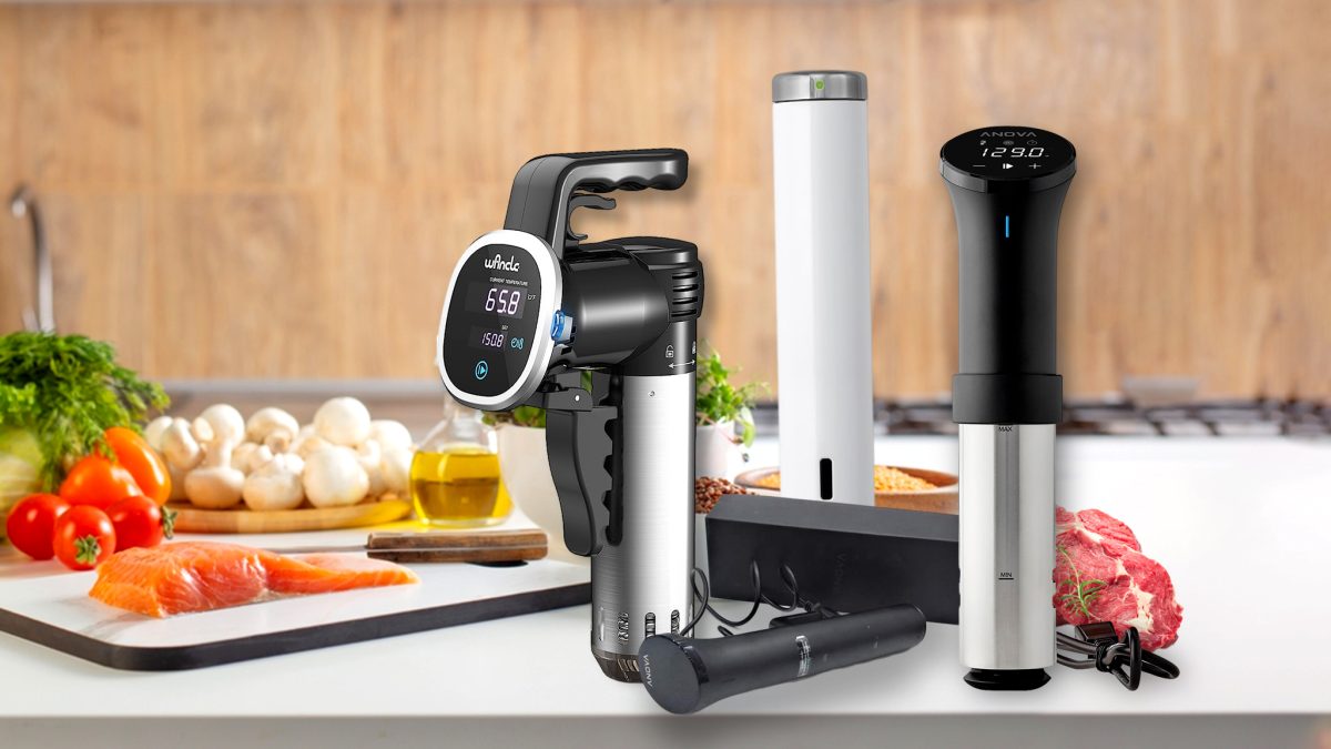 Best Sous Vide Machines 2023: Top Picks for Precise Cooking